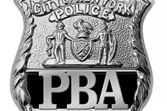 Frank Morano for New York City Council – Candidate for New York City's ...